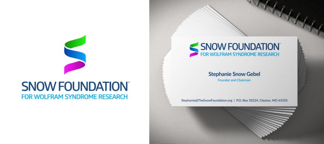 The Snow Foundation Case Study | Saltworks